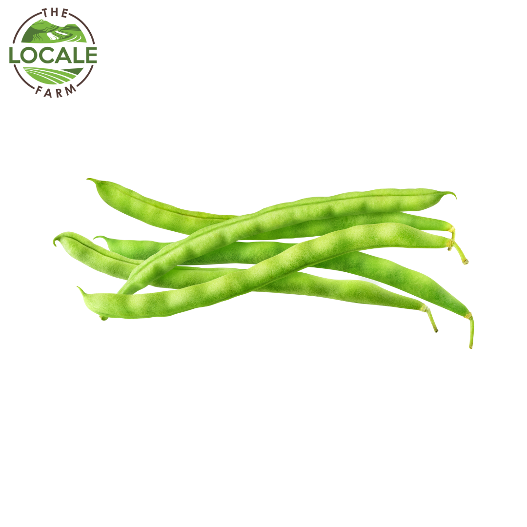 Baguio Beans Snap – The Locale Farm